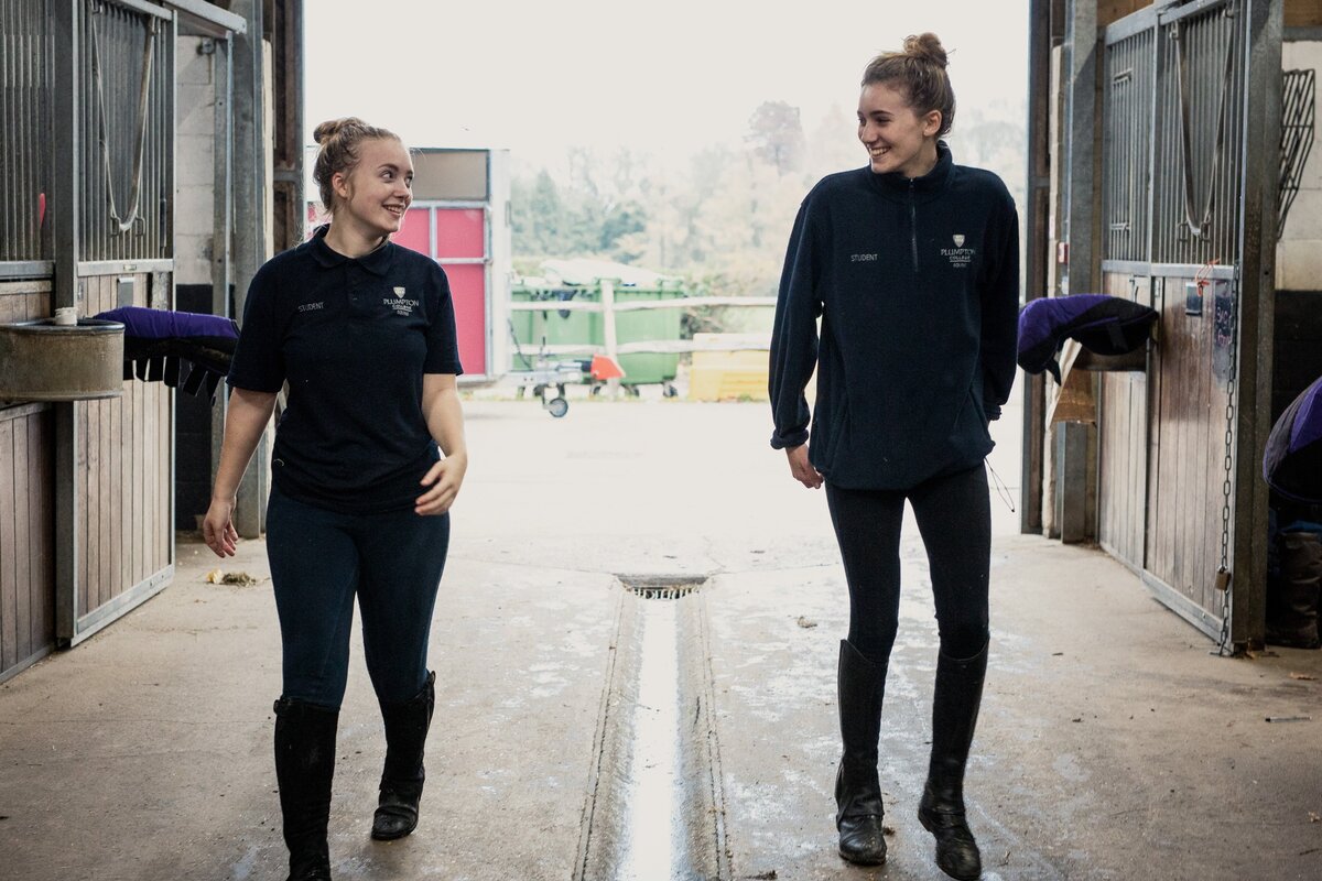 Horse Care - BTEC Level 2 Technical Diploma - Plumpton College