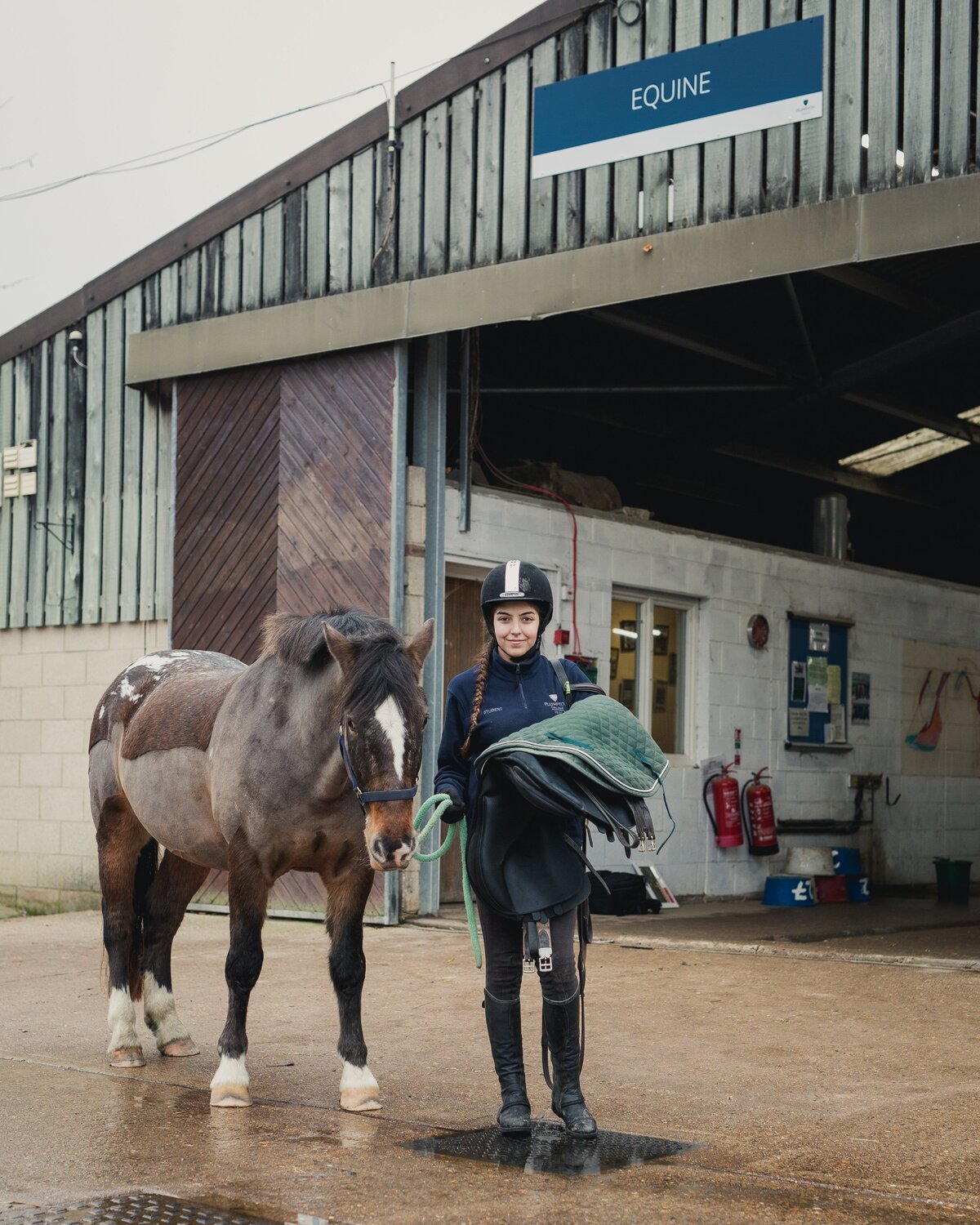Equine Management - BTEC Level 3 National Extended Diploma - Plumpton ...
