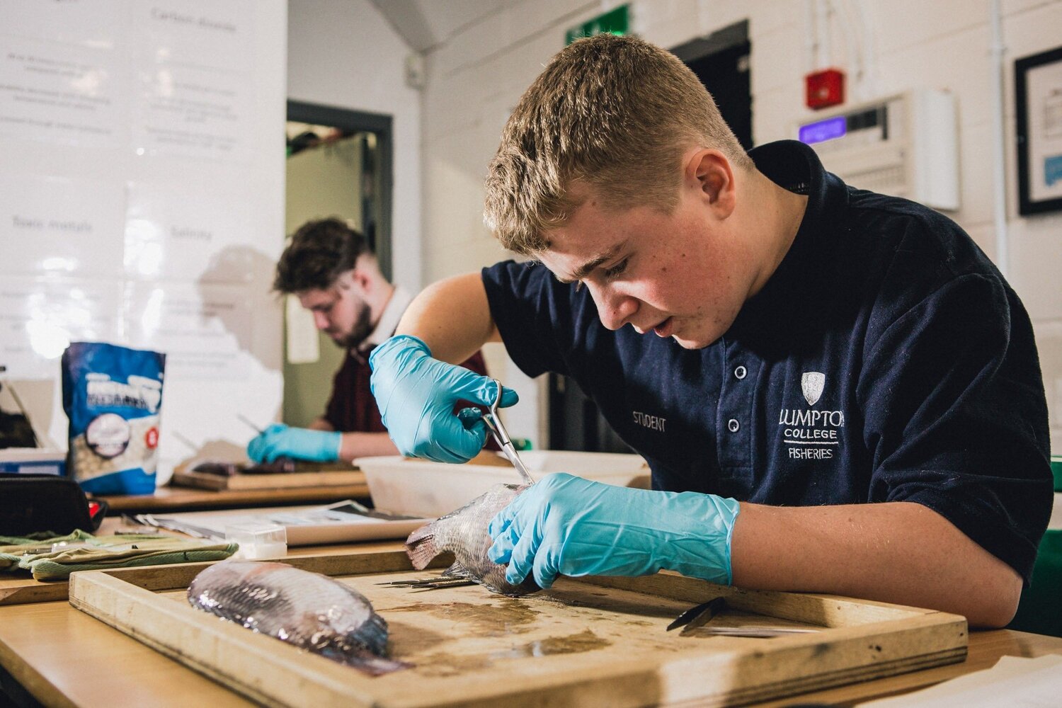 Fisheries & Aquatic Science - Plumpton College