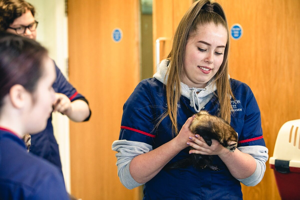 Animal Management - Level 2 BTEC First Award or Technical Diploma ...